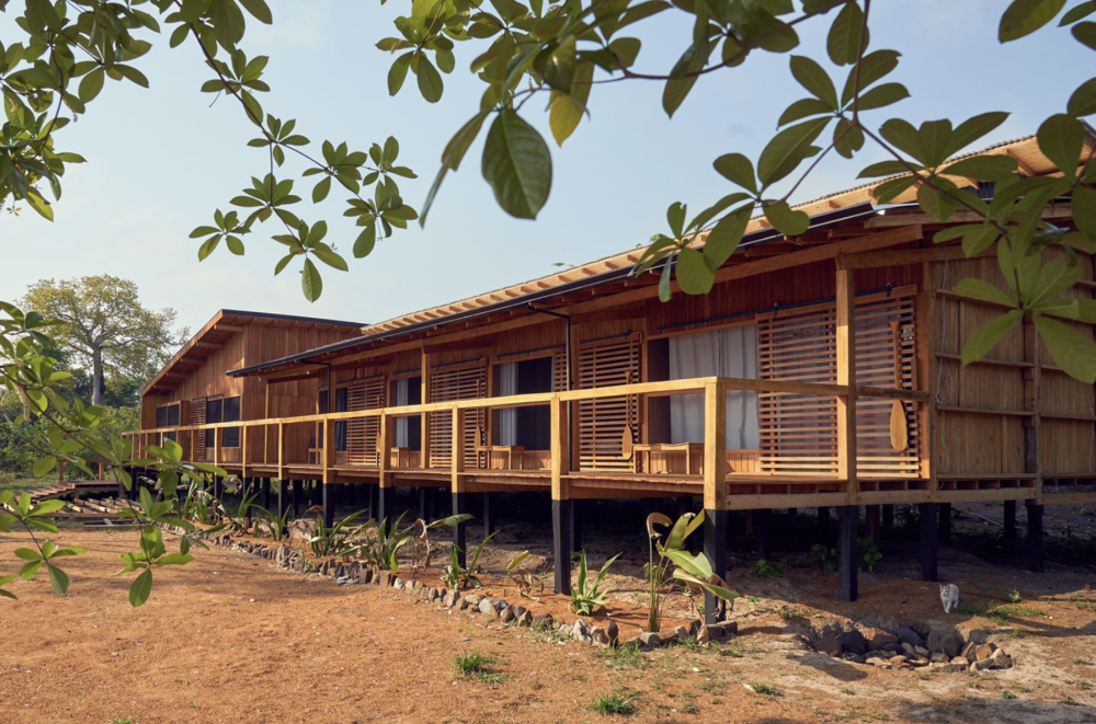 Xingu | Untamed Angling